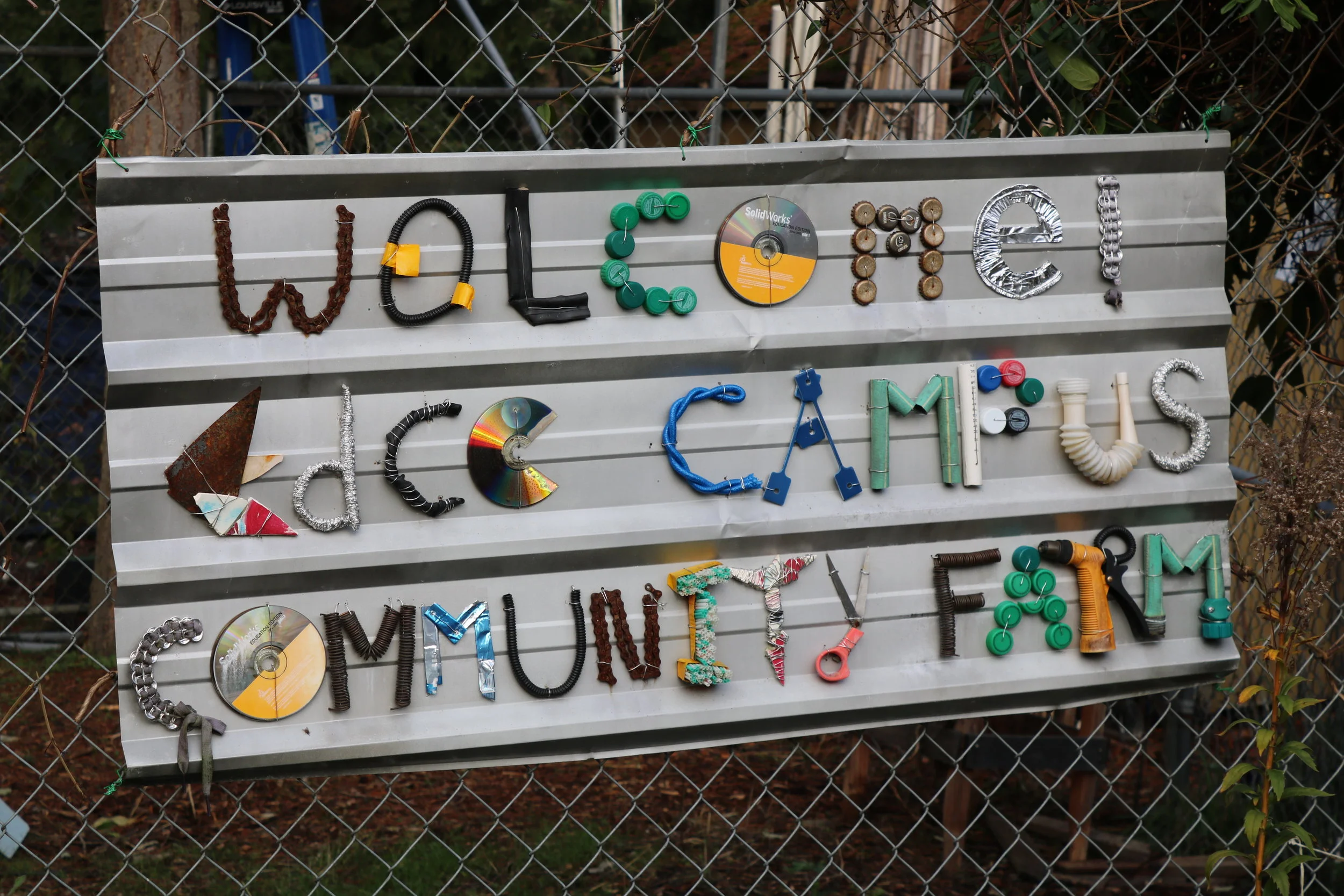Edmonds Community College, Where Guerrilla Style Gardening Has Taken ...
