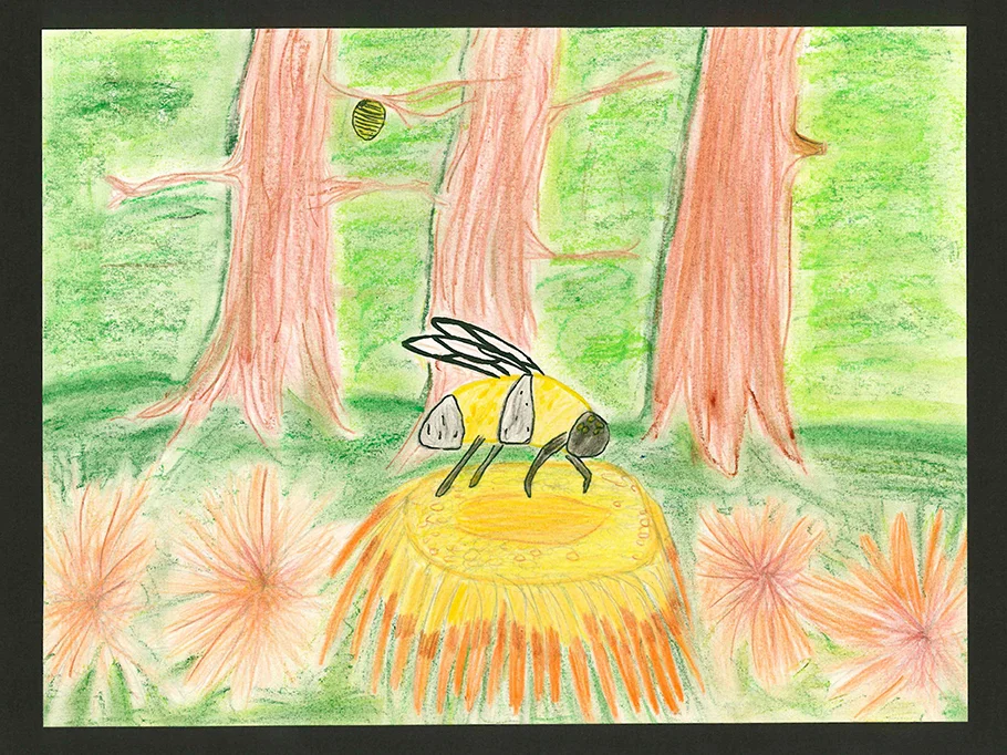 Pollinator Art Contest Winners Gallery — Snohomish Conservation District