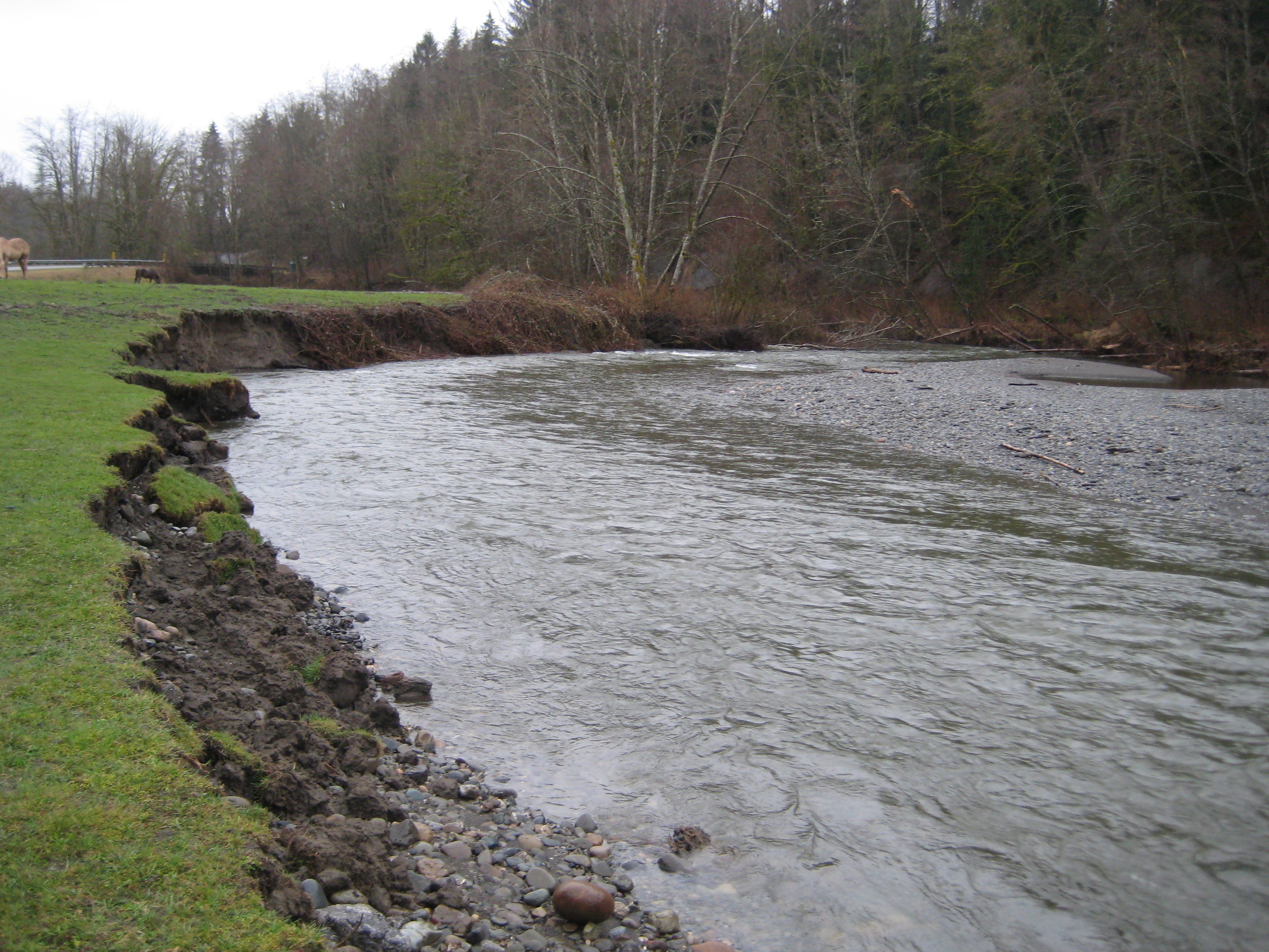 Streambank Erosion — Snohomish Conservation District