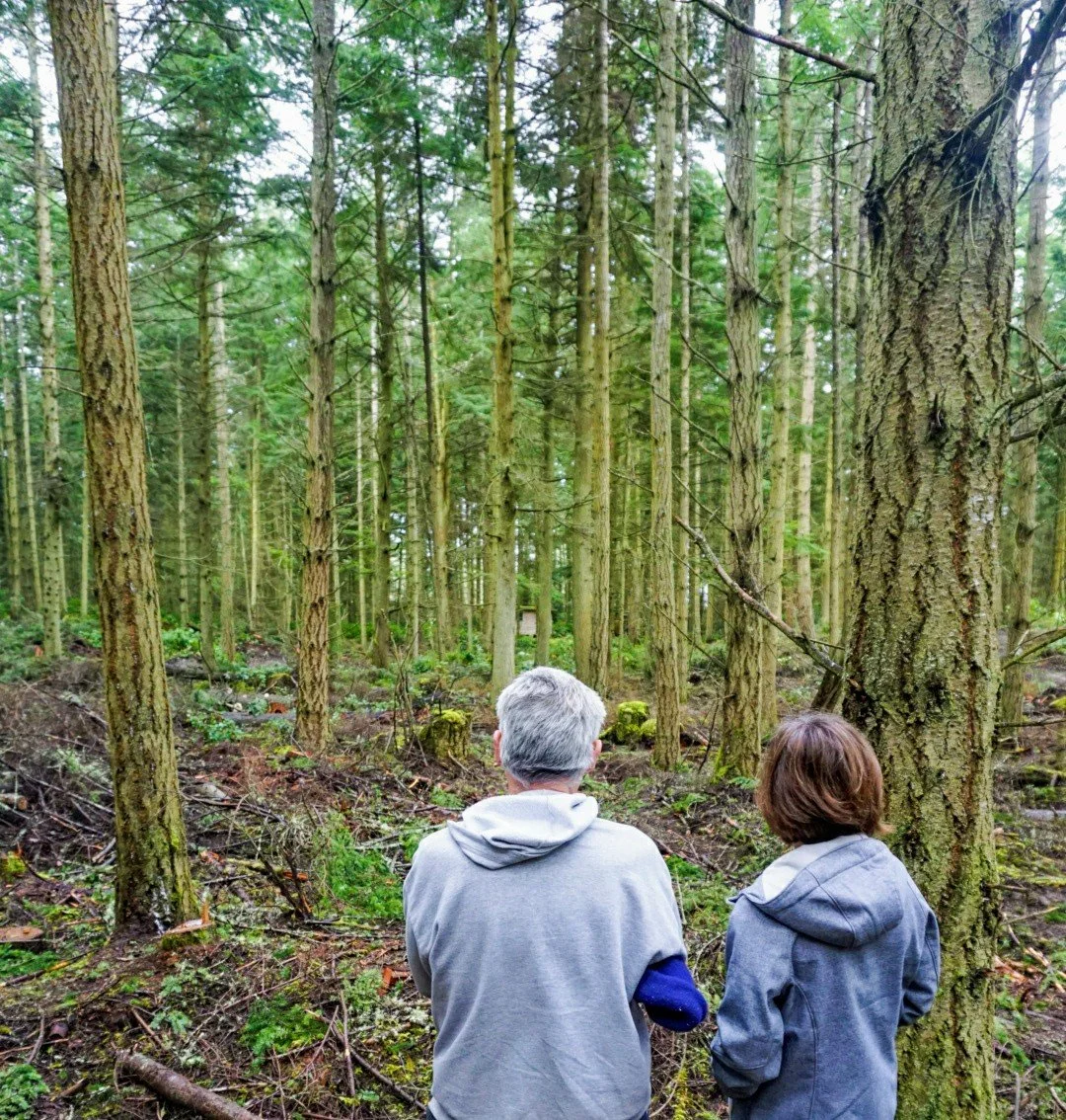 Forest Stewardship — Snohomish Conservation District