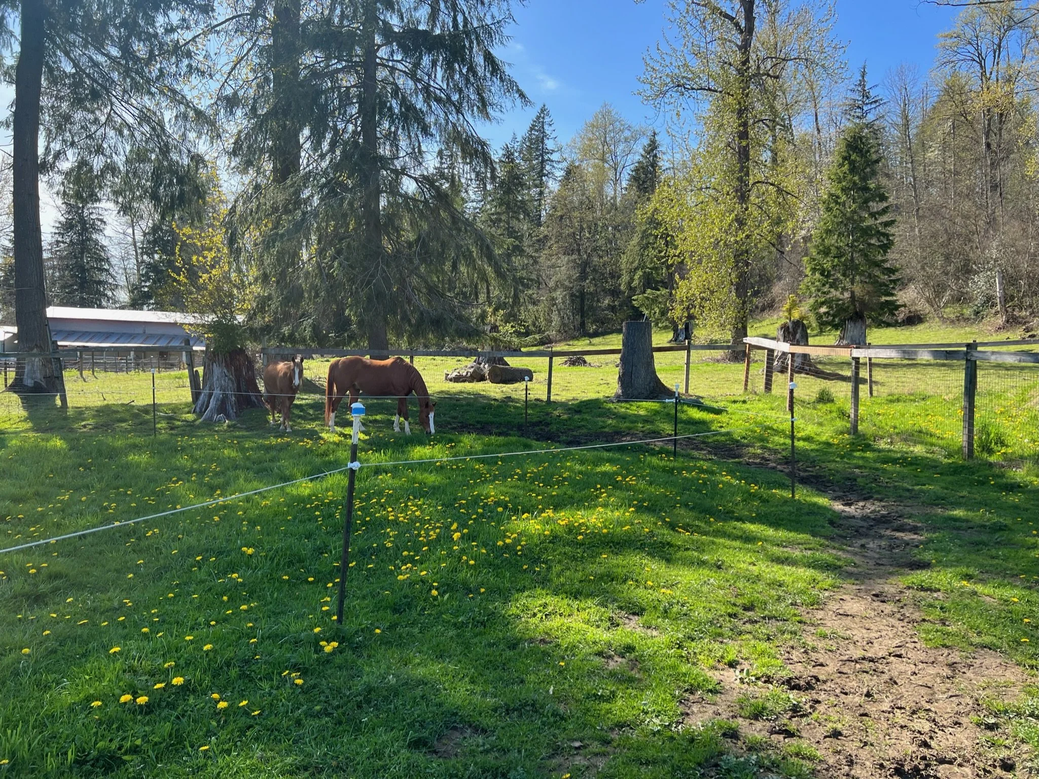 Track Paddock Highlight with Sarah and Jeremy Vecchi — Snohomish ...