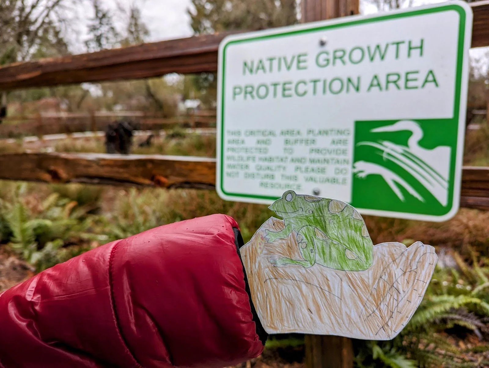 2024 Youth Art Contest Winners & People's Choice — Snohomish ...