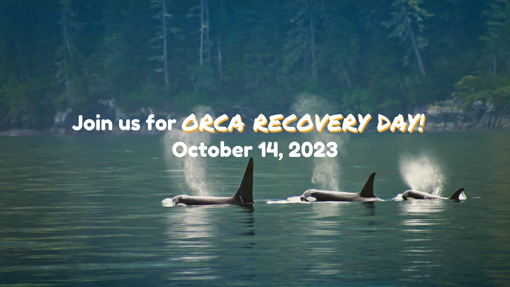 Marysville Orca Recovery Day — Snohomish Conservation District