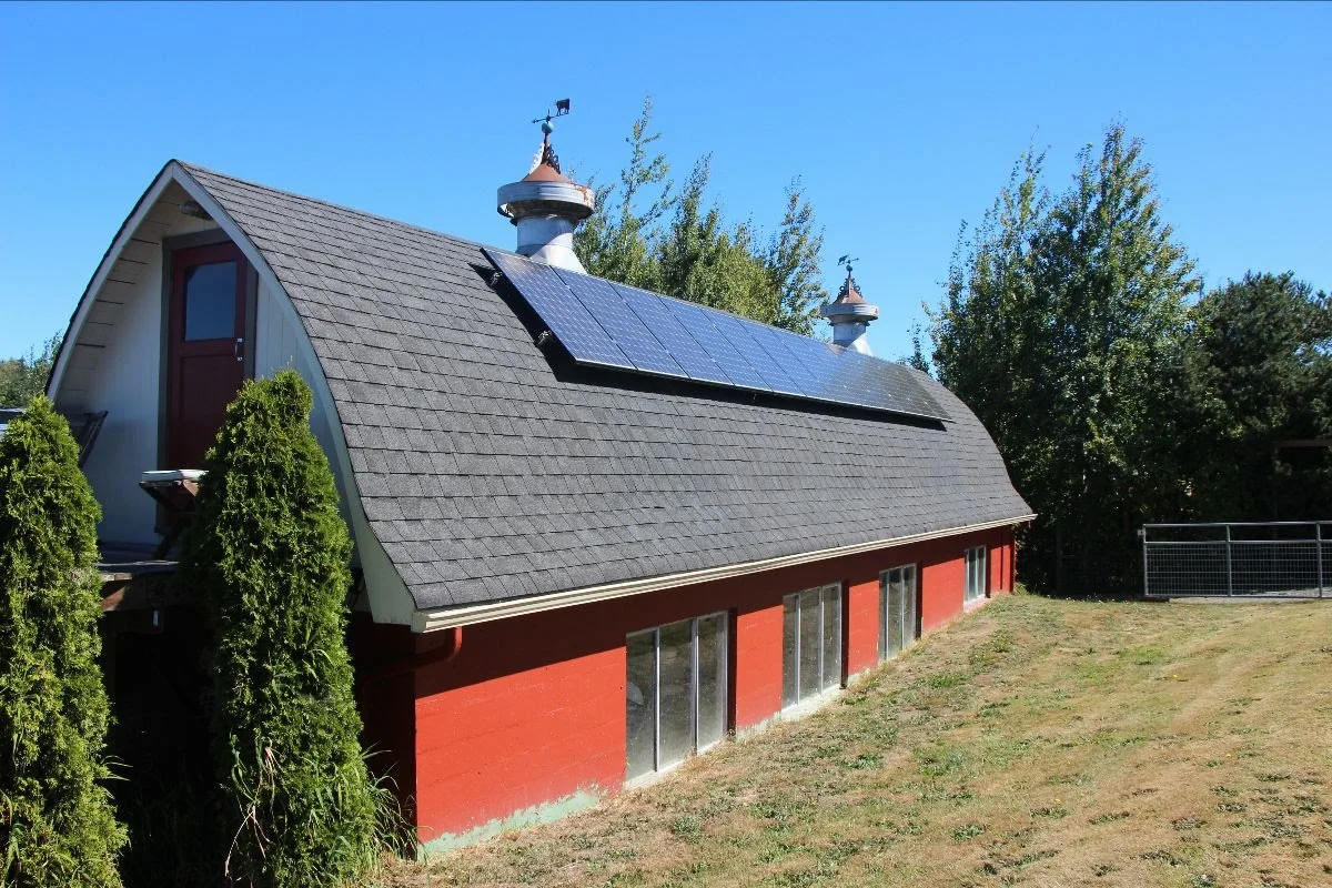 Raising Cane Ranch Switched to Solar: Find Out If You Can Too ...