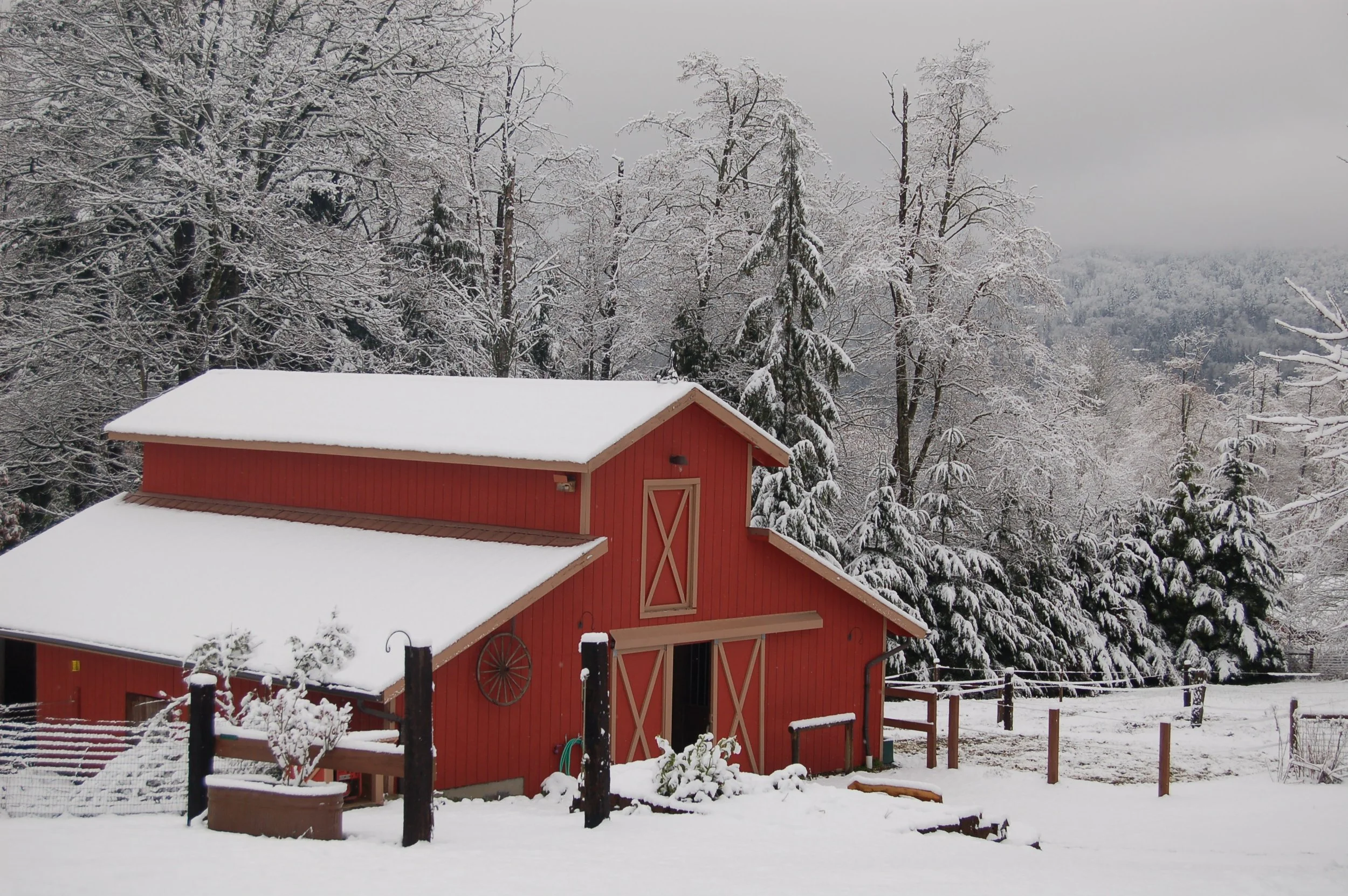Preparing Horse Properties for Winter — Snohomish Conservation District