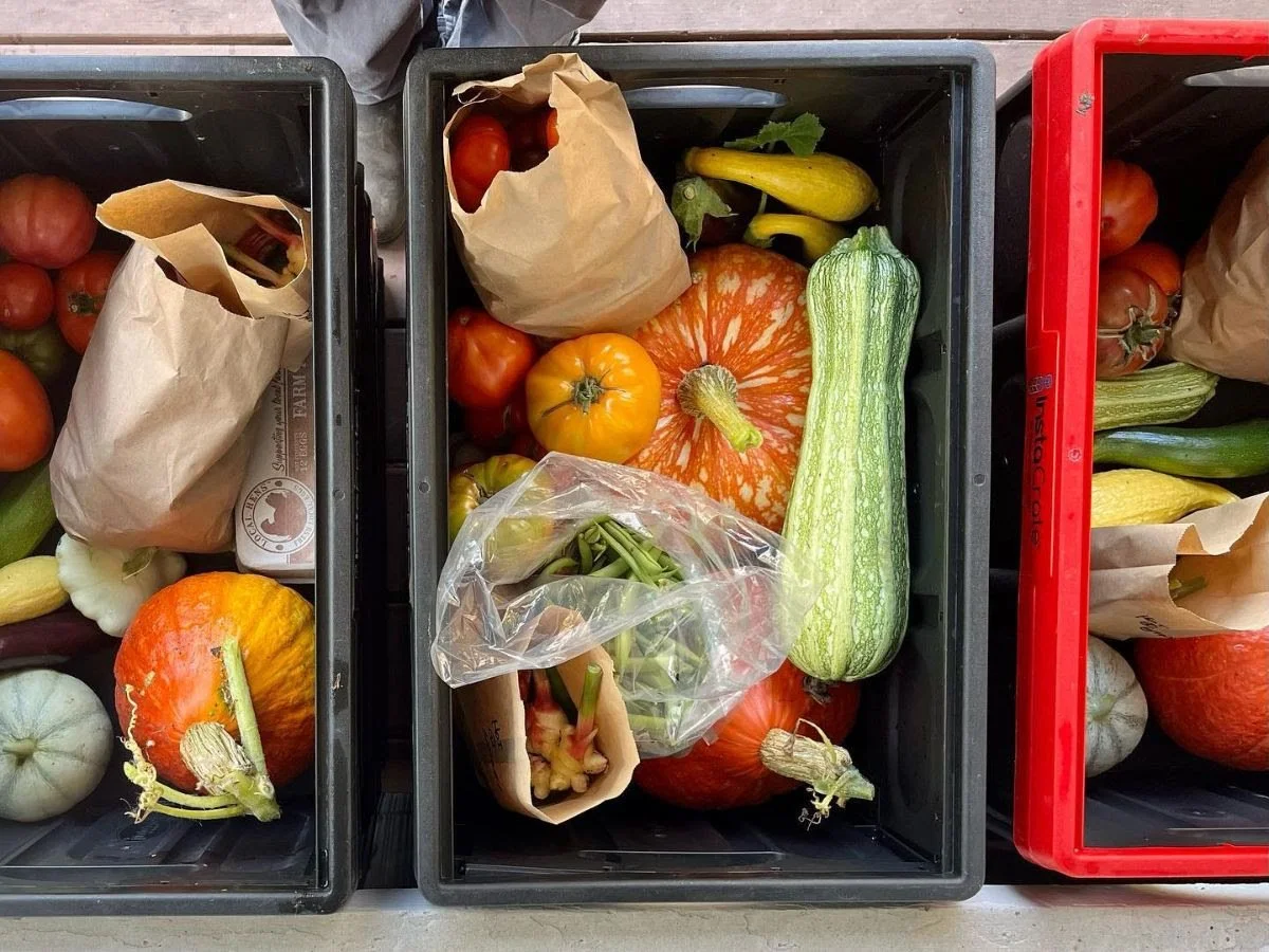 Restoring Connection at Tangled Thicket — Snohomish Conservation District