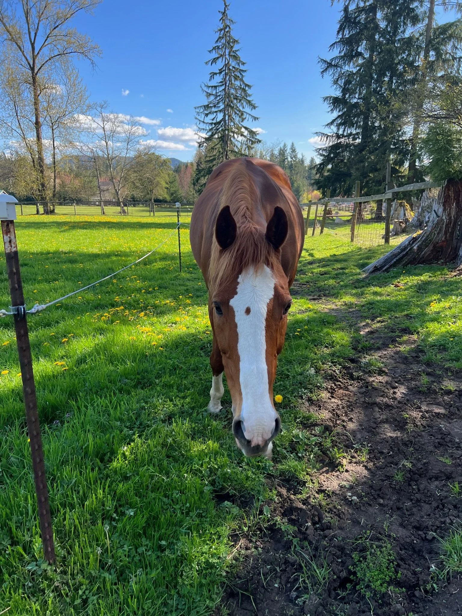 Track Paddock Highlight with Sarah and Jeremy Vecchi — Snohomish ...