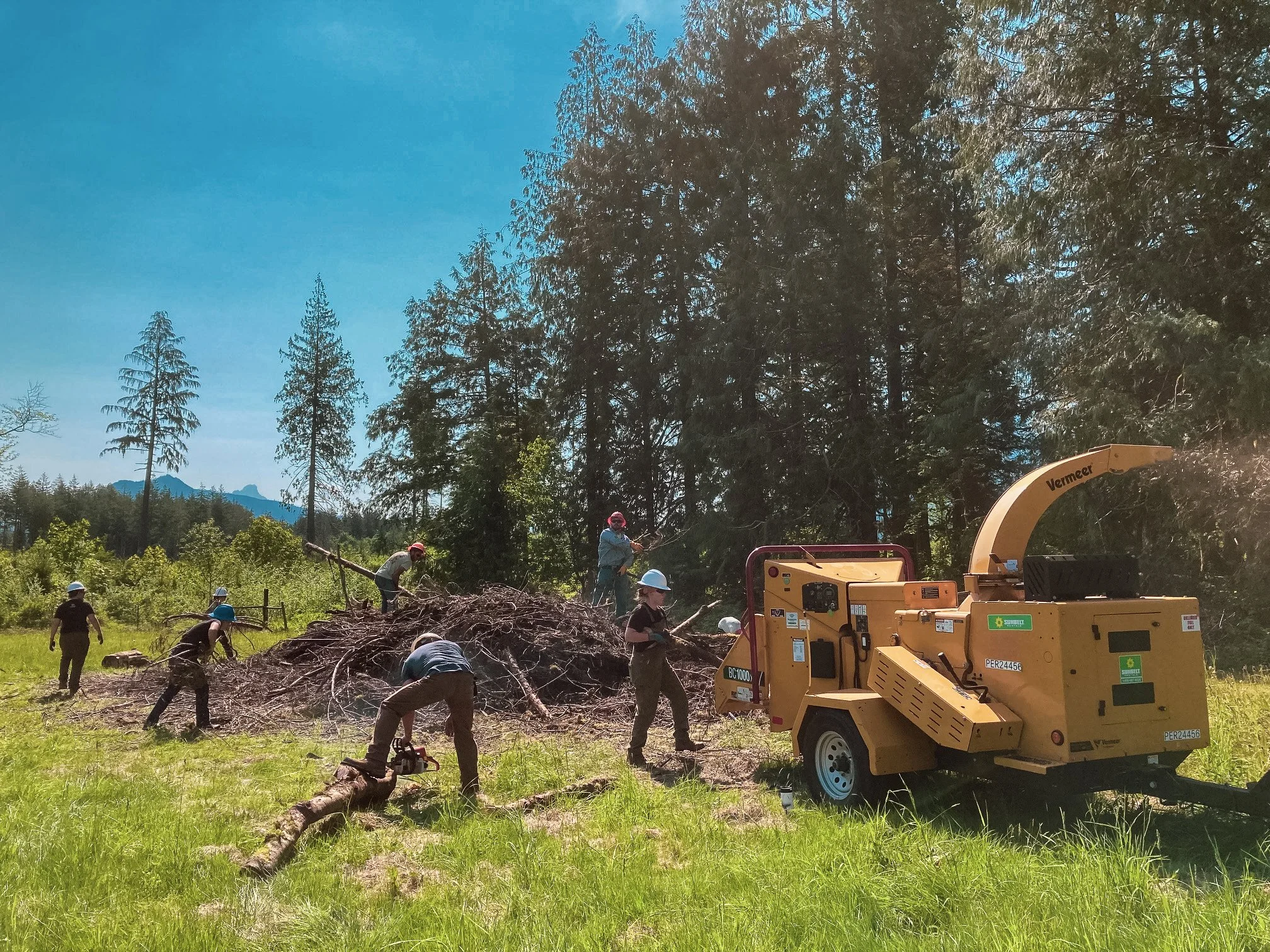 Chipping In for Healthy Air — Snohomish Conservation District