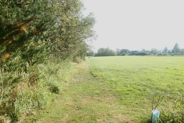 Agroforestry — Snohomish Conservation District