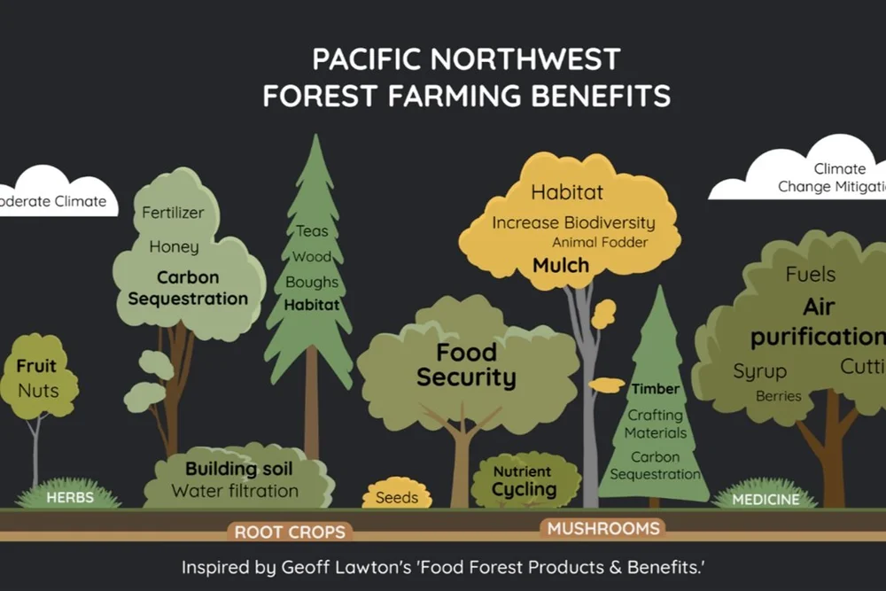 Agroforestry — Snohomish Conservation District
