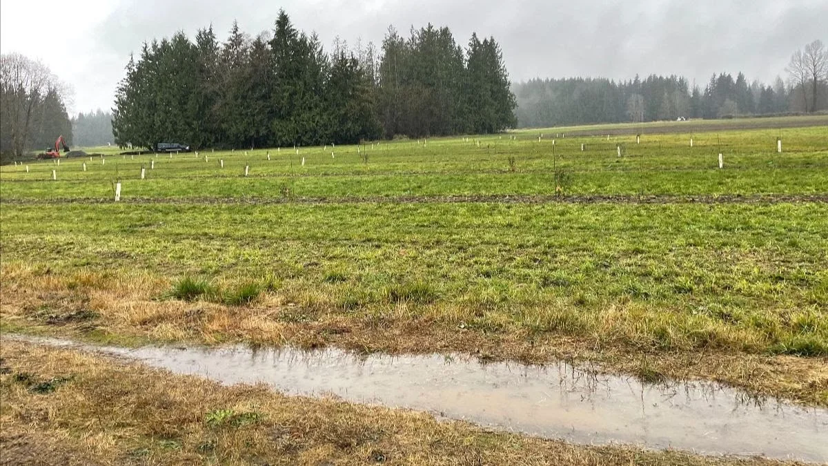 Wet Feet Farming Highlight — Snohomish Conservation District