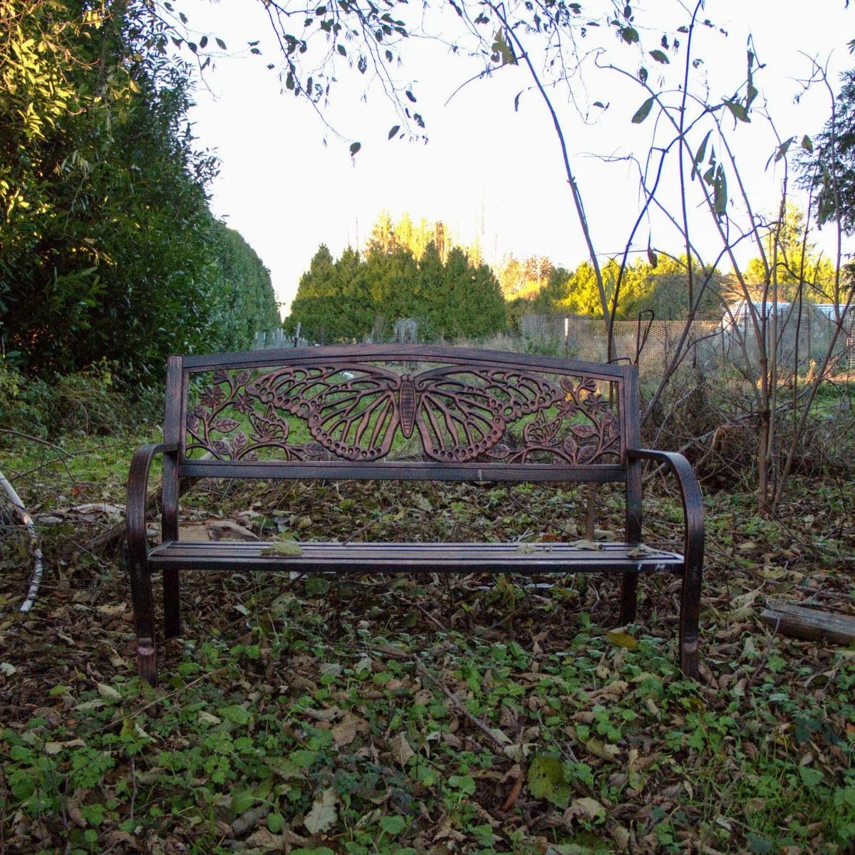 Restoring Connection at Tangled Thicket — Snohomish Conservation District