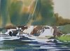 Strong & Simple Watercolor with Dan Wiemer — Red Wing Arts