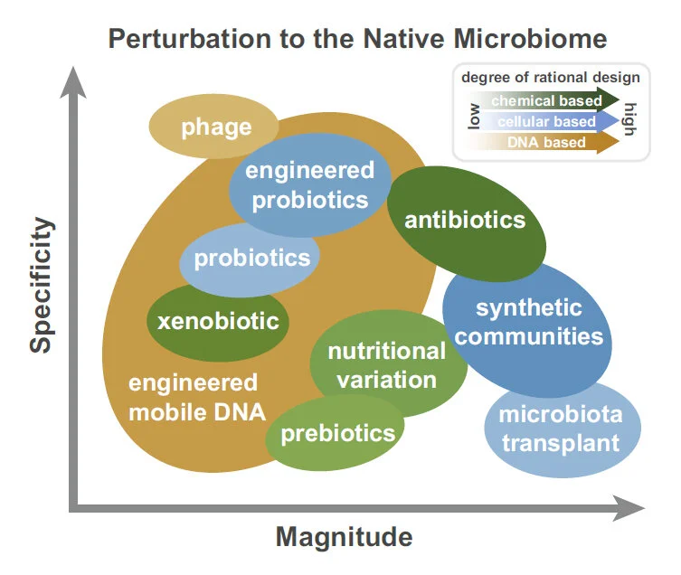 Publications — Wang Lab