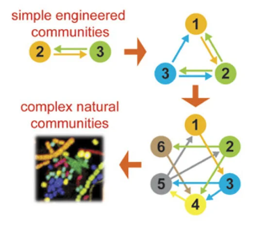 Publications — Wang Lab