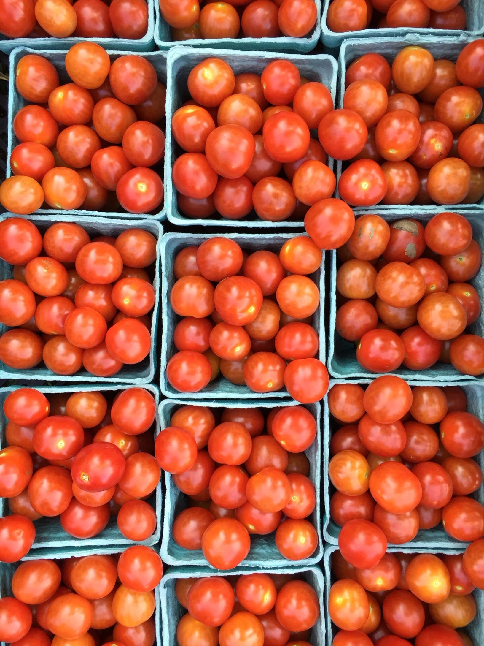 Contact Us — Picadilly Farm