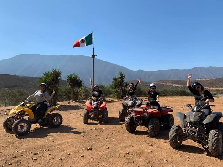 Best Ensenada Excursion by Local Expat and Carnival Cruiser