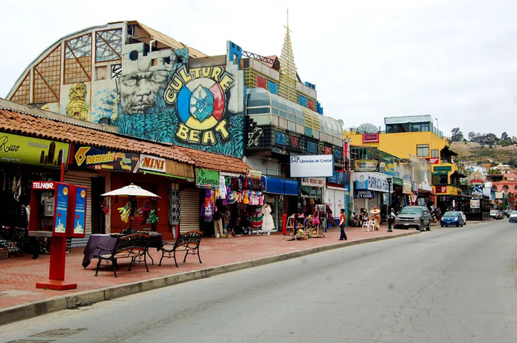 Best Ensenada Excursion by Local Expat and Carnival Cruiser