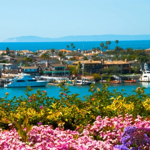 Membership — Karma International