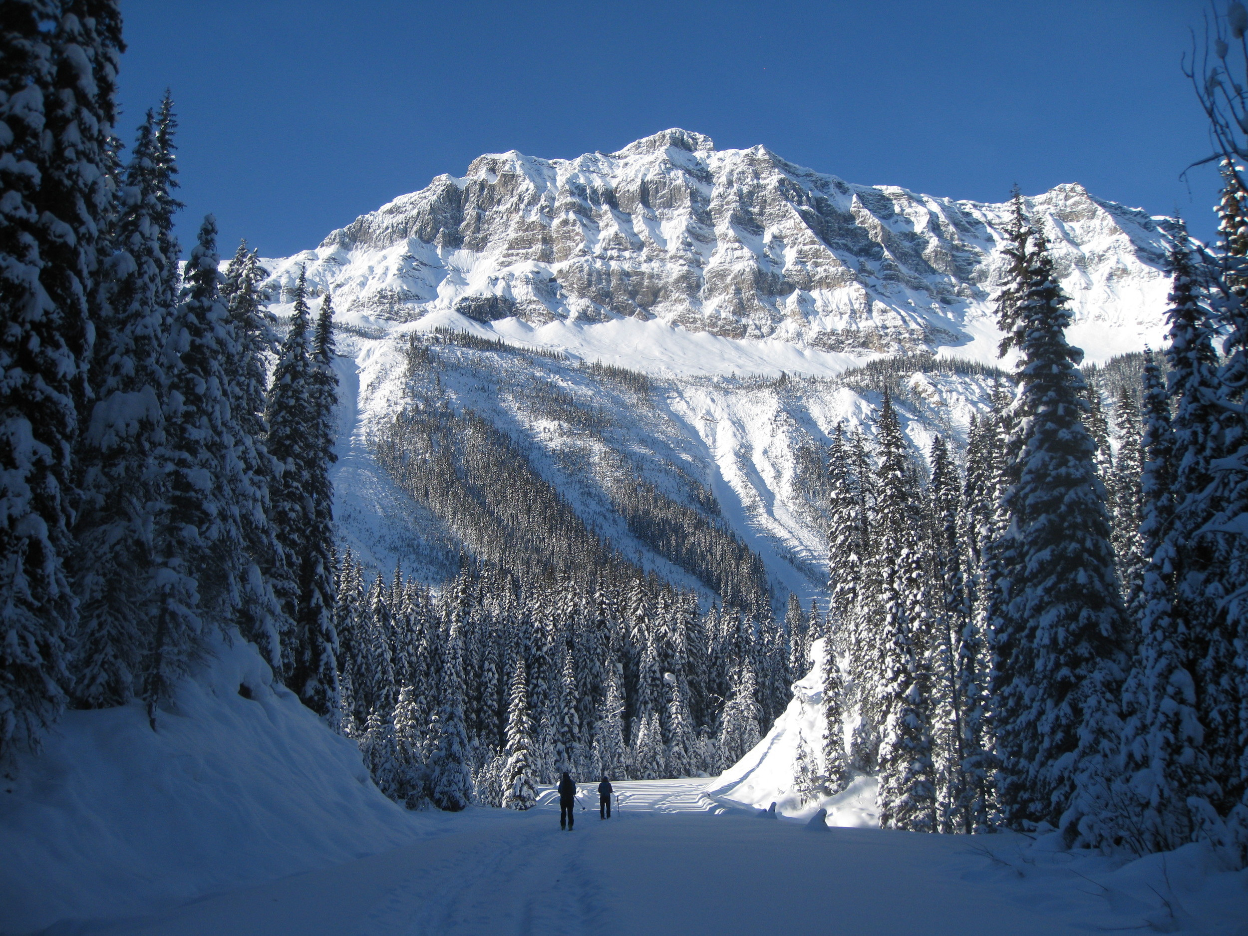 Mt Field ski tour — Grandview Chalet Bed & Breakfast