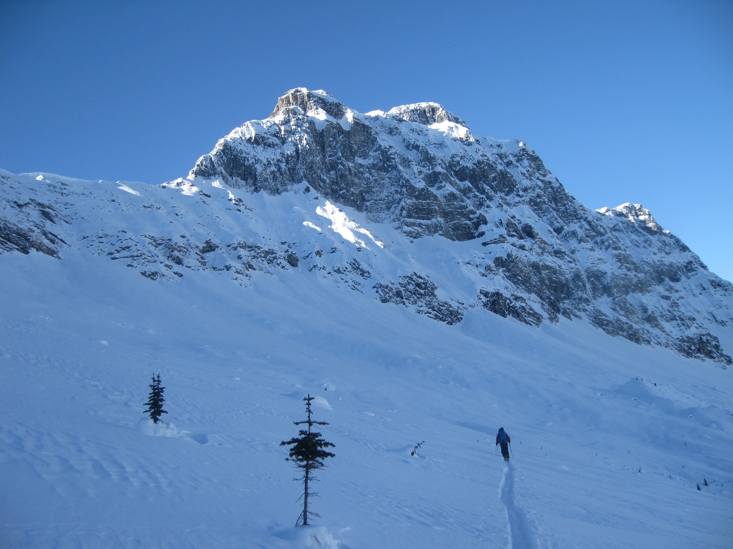 Mt Field ski tour — Grandview Chalet Bed & Breakfast