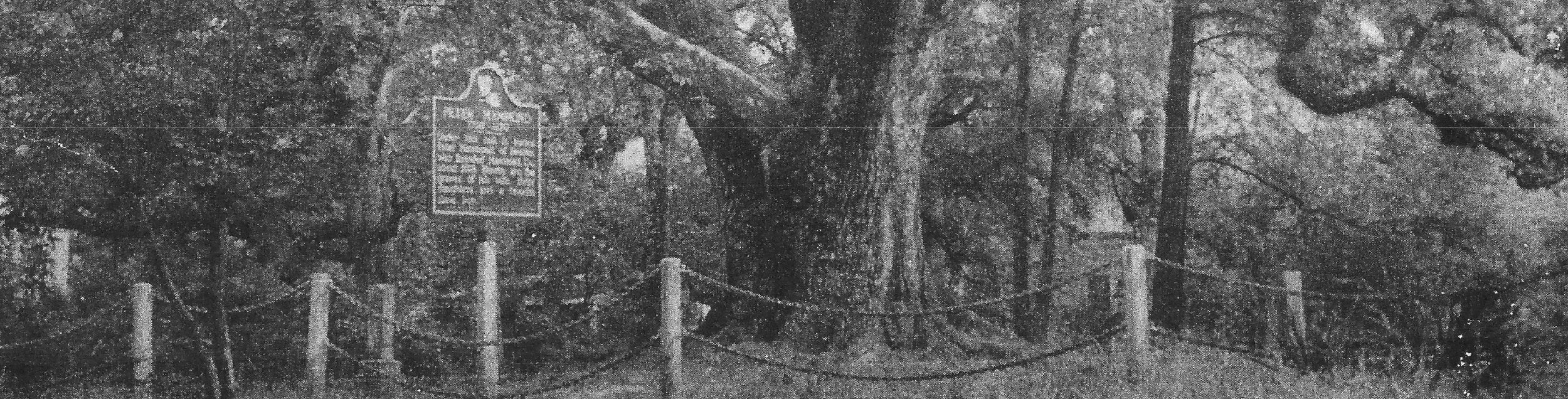 Early Hammond History — Hammond Historic District