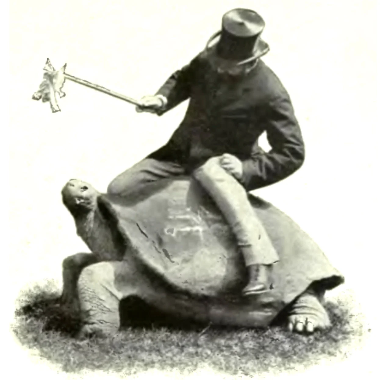 Jacob Mikanowski Writer & Journalist