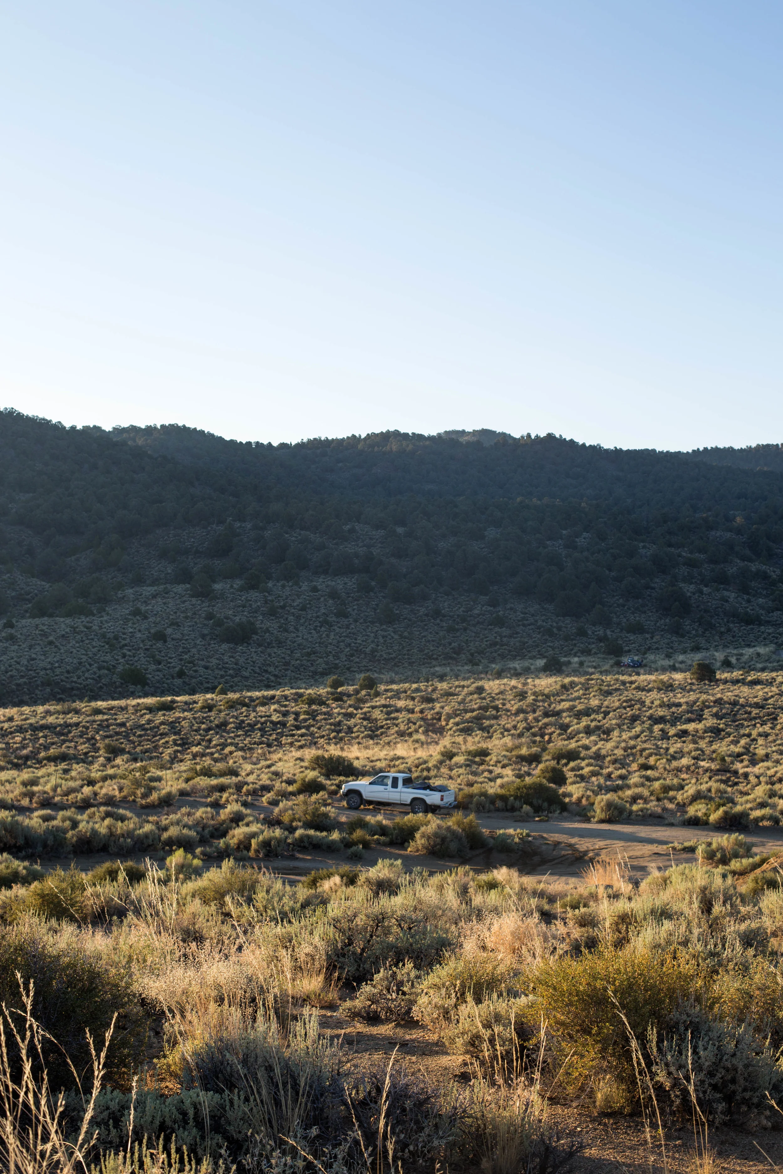 Ian Palmer Photography