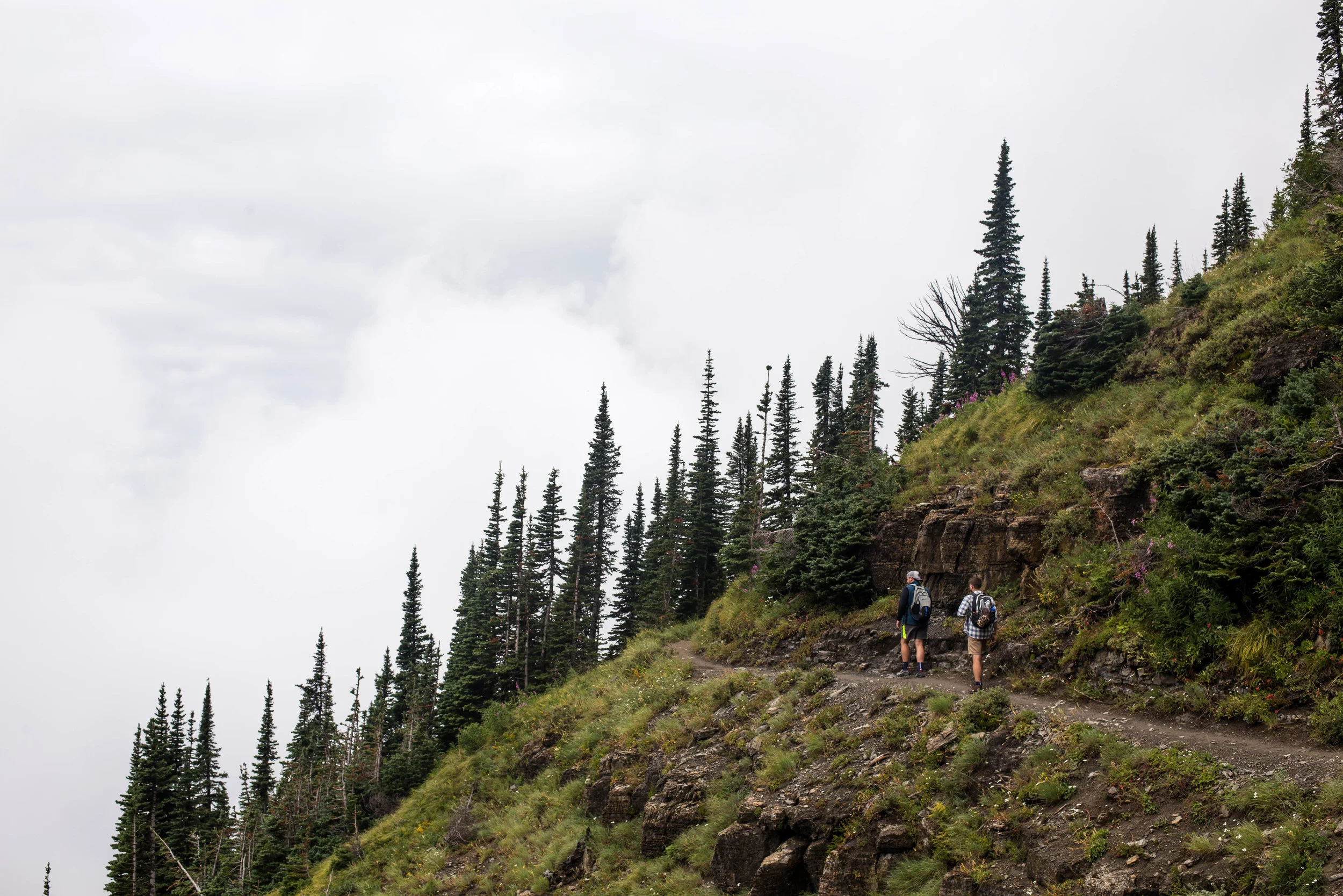 Ian Palmer Photography