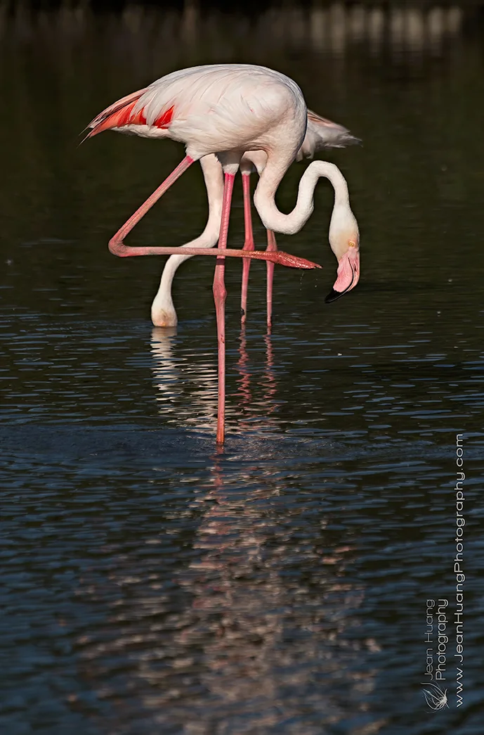 Me and My Shadow - Los Angeles Travel Photographer — Jean Huang Photography