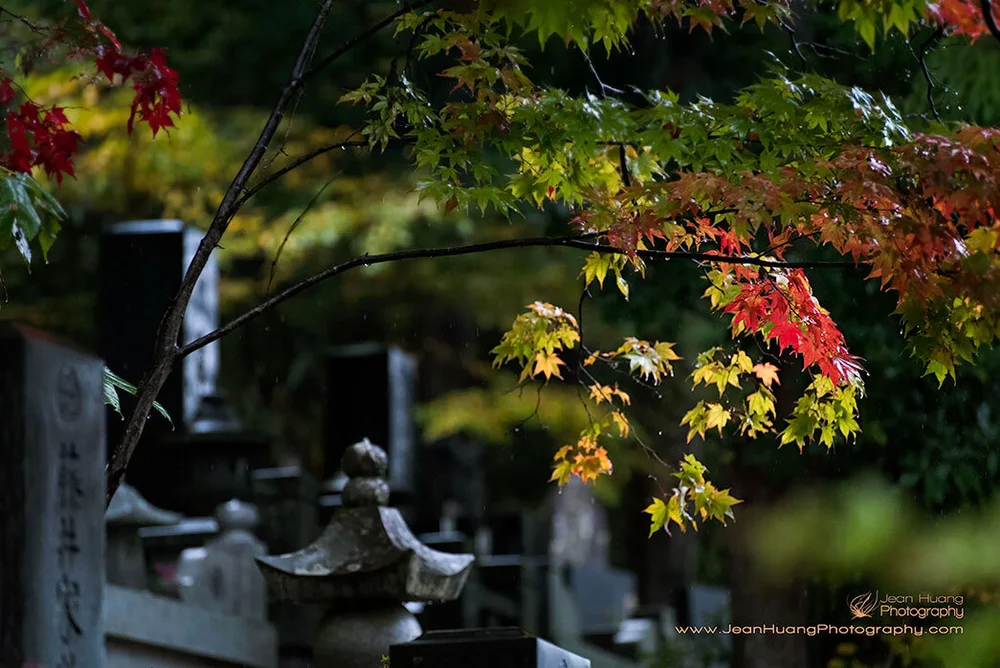 Surprise in a Cemetery in Japan's Kiso Valley - Los Angeles Travel ...