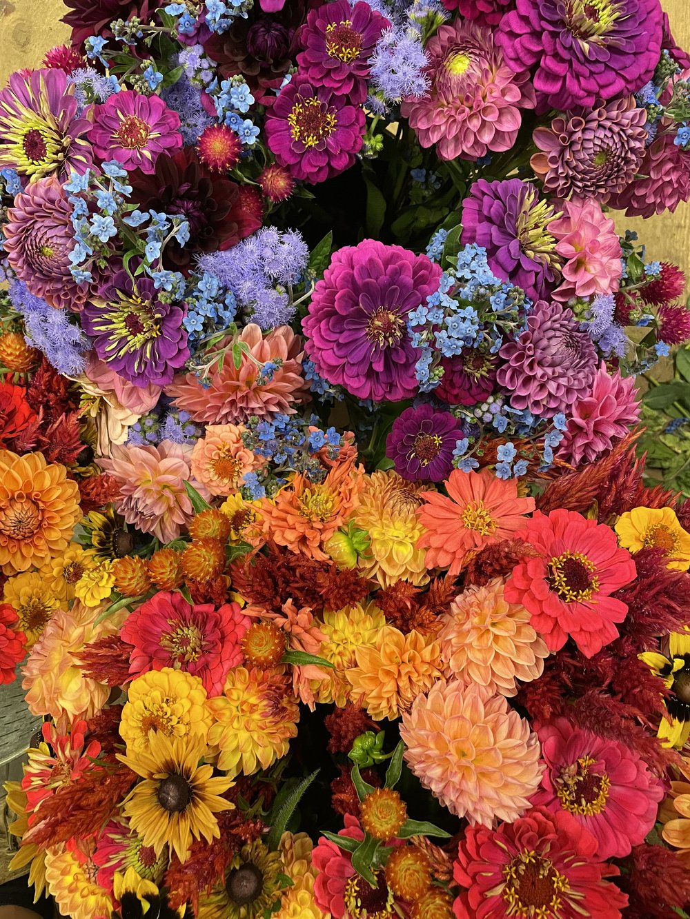 The Farm — East of Eden Flower Farm
