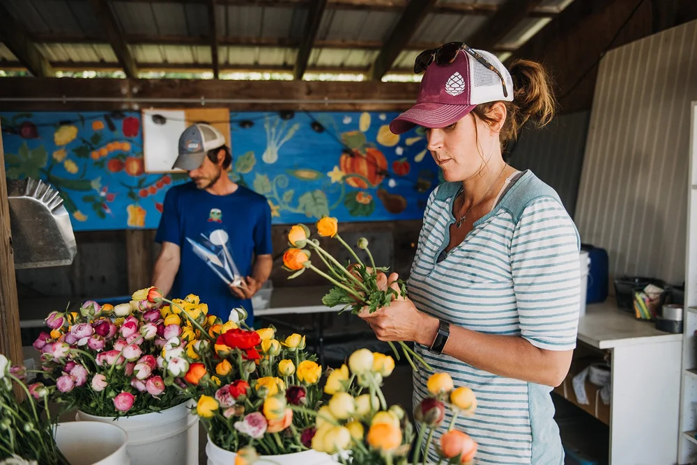 The Farm — East of Eden Flower Farm
