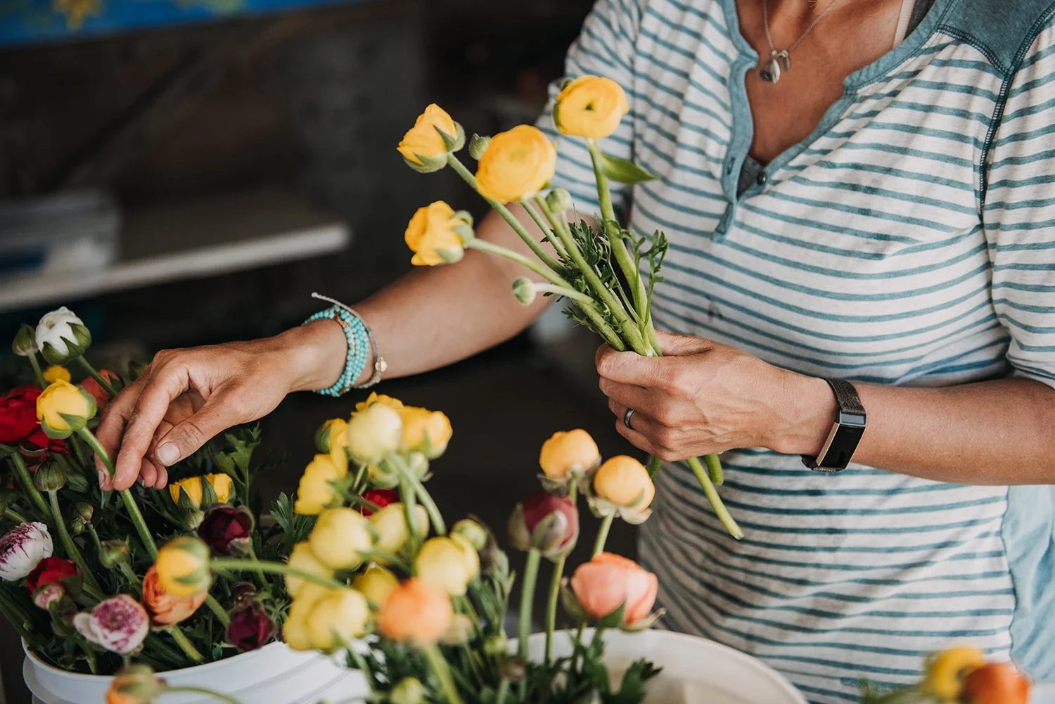 The Farm — East of Eden Flower Farm