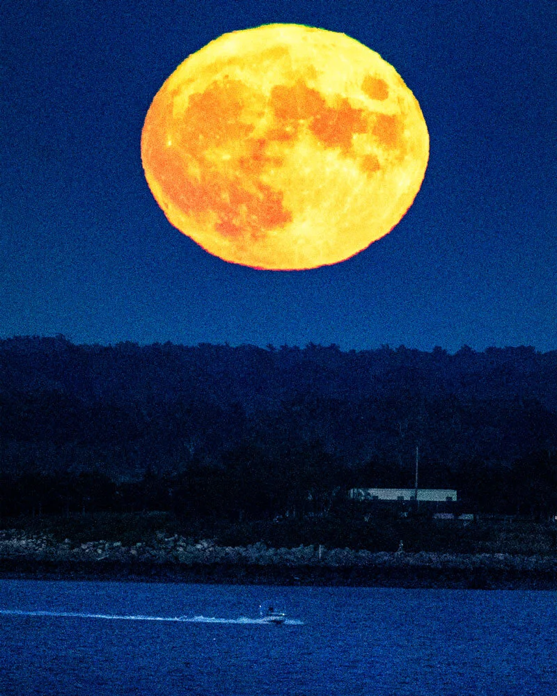 Good, Bright Moon — Dorian Color | Hunt's Photo & Video