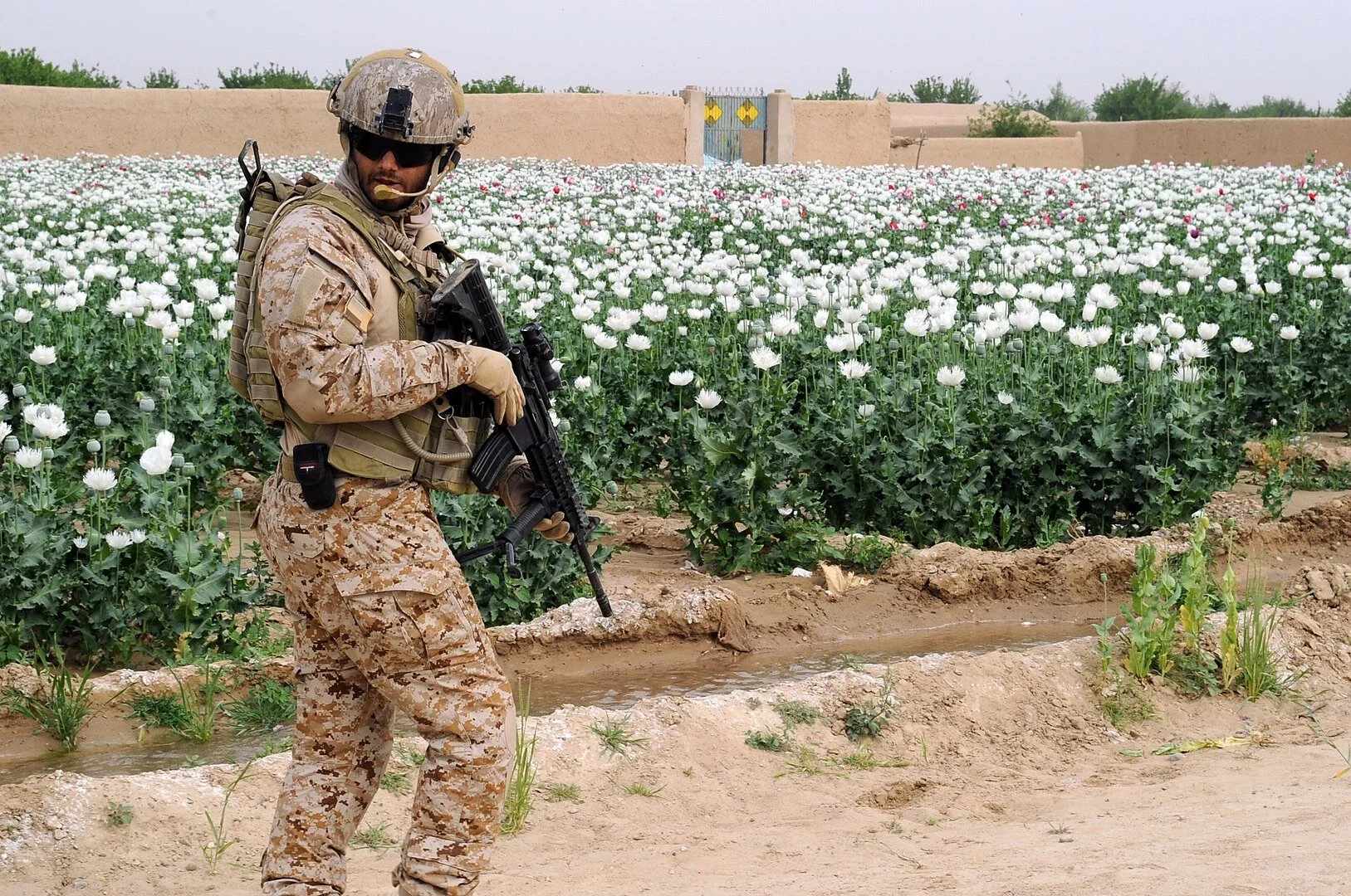 Little Sparta’s Big Ambitions: The Emirati Military Comes of Age