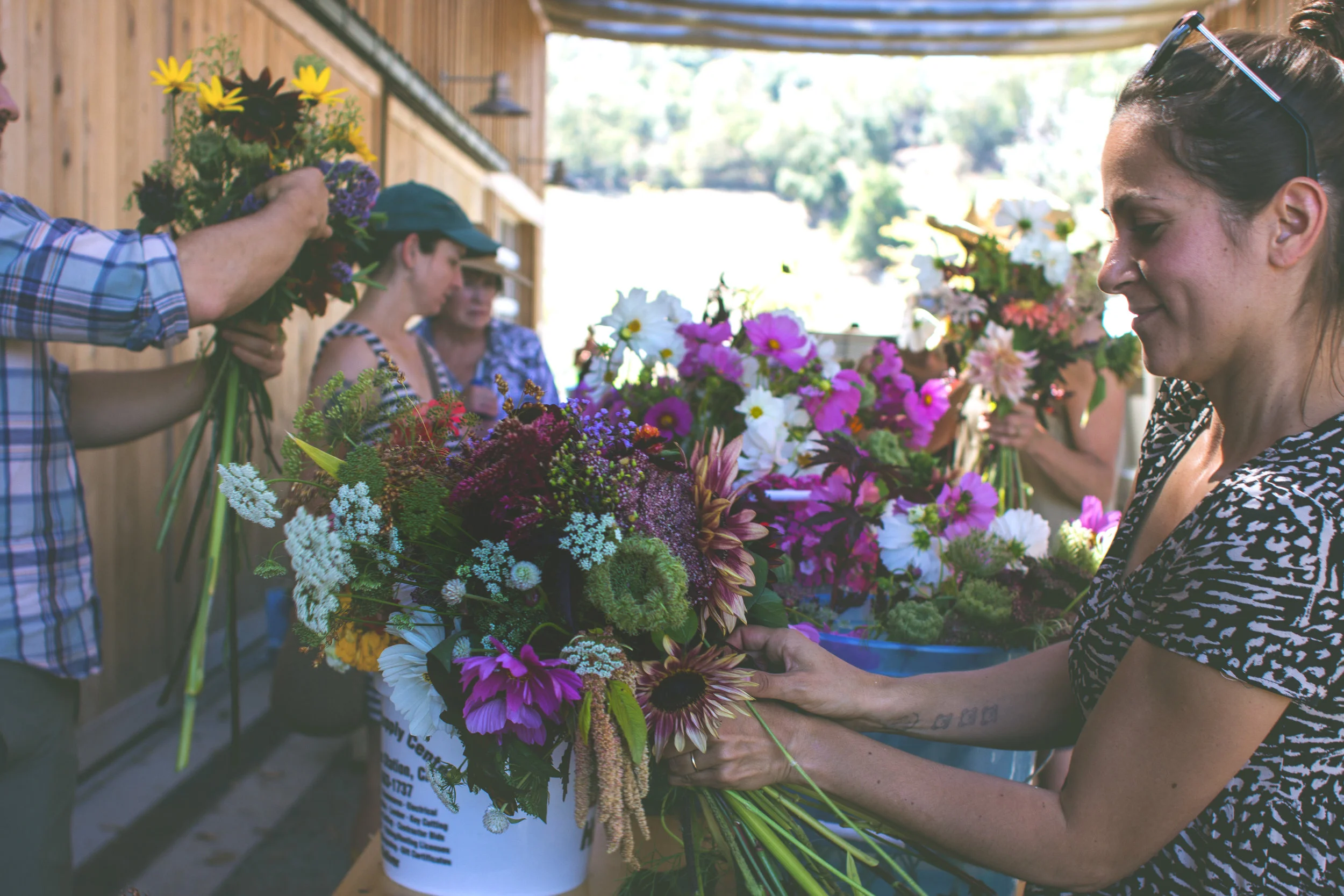 Farm Advising — B-Side Farm