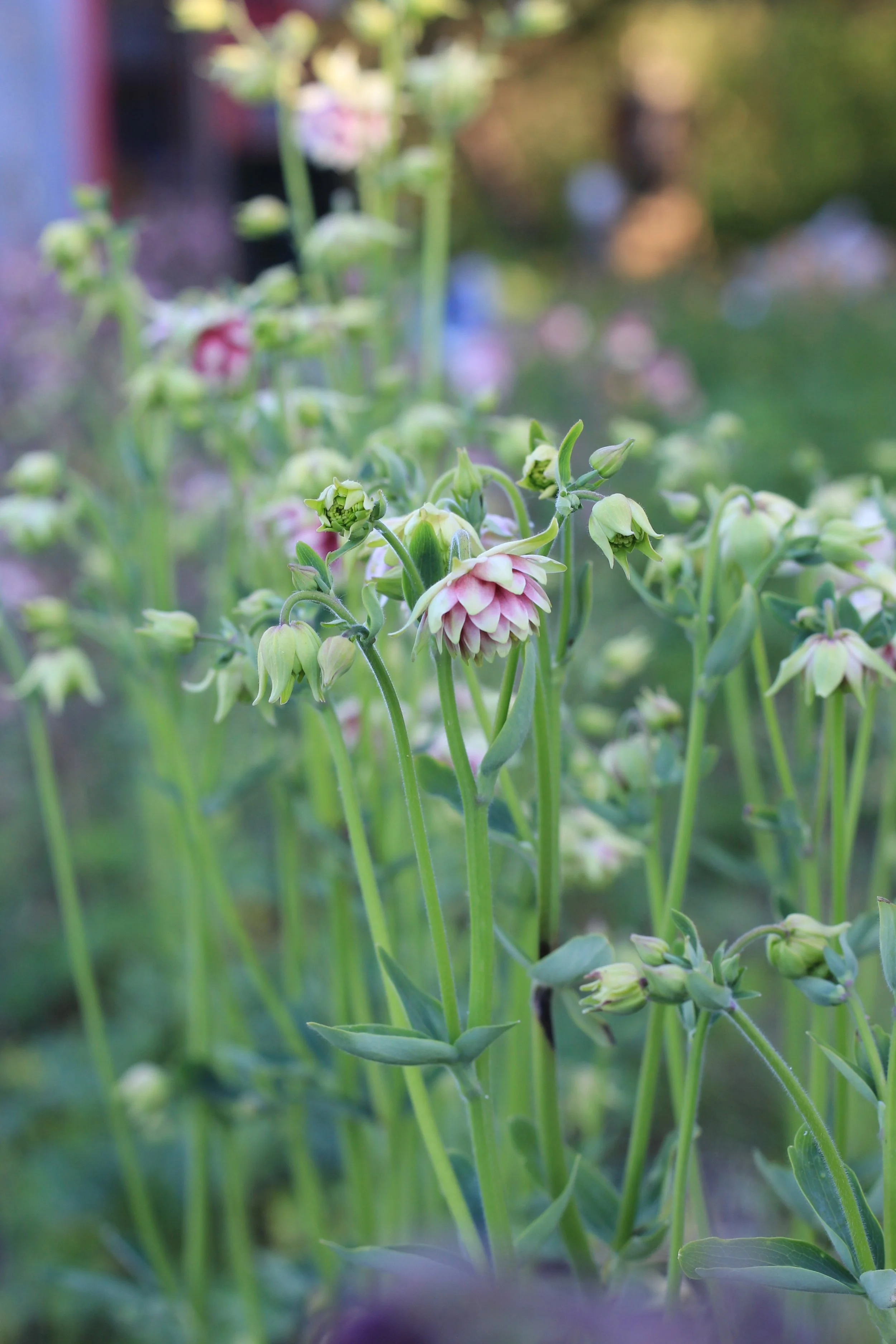 2018 In Review — B-Side Farm