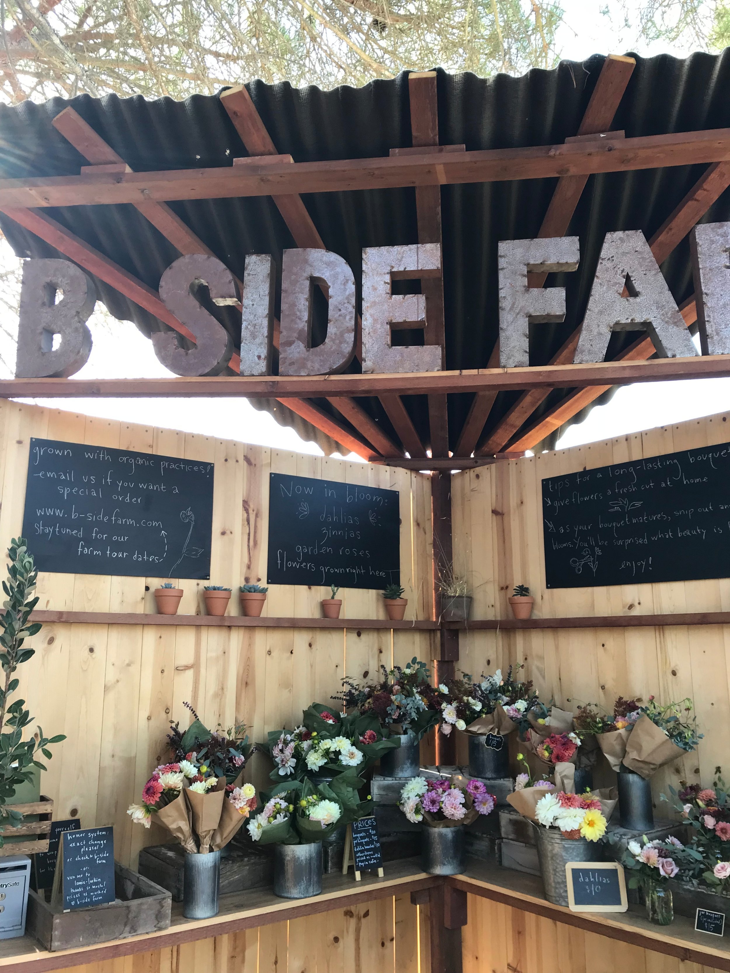 2018 In Review — B-Side Farm