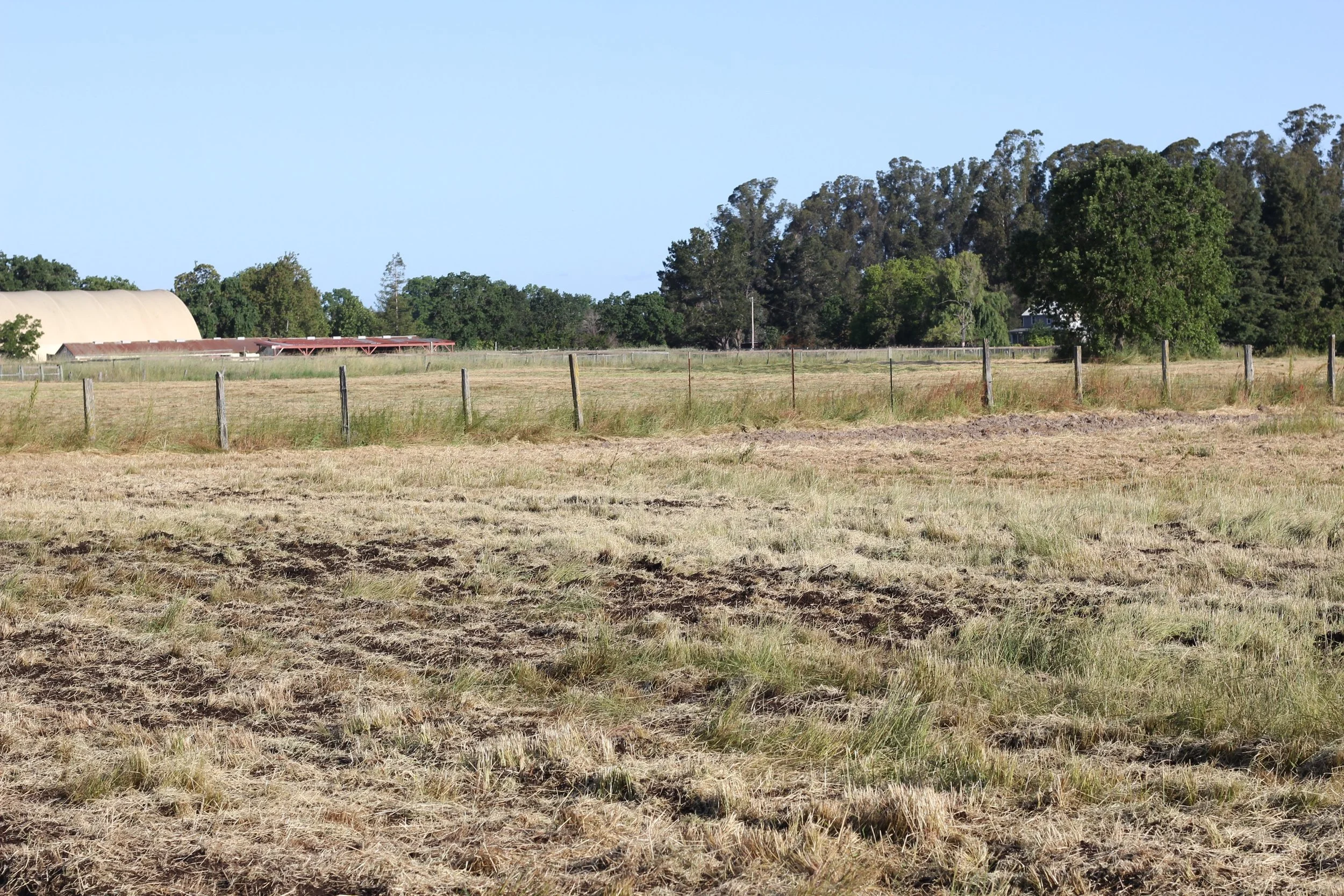 2018 In Review — B-Side Farm