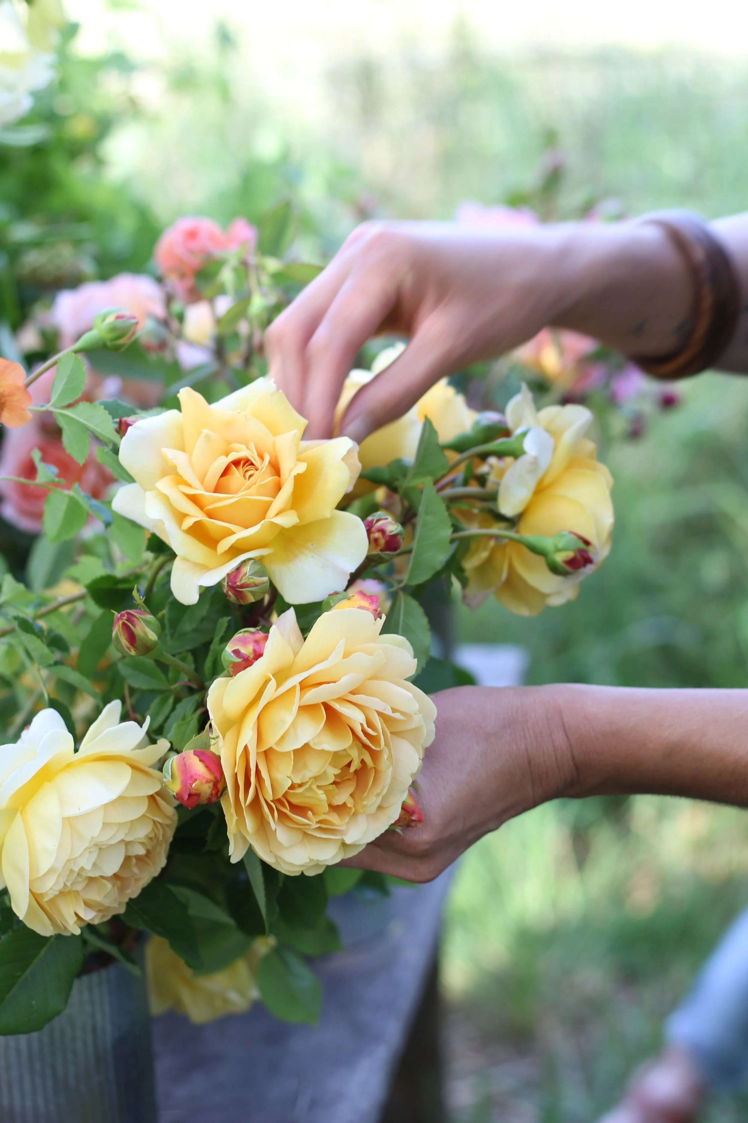 Workshops — B-Side Farm