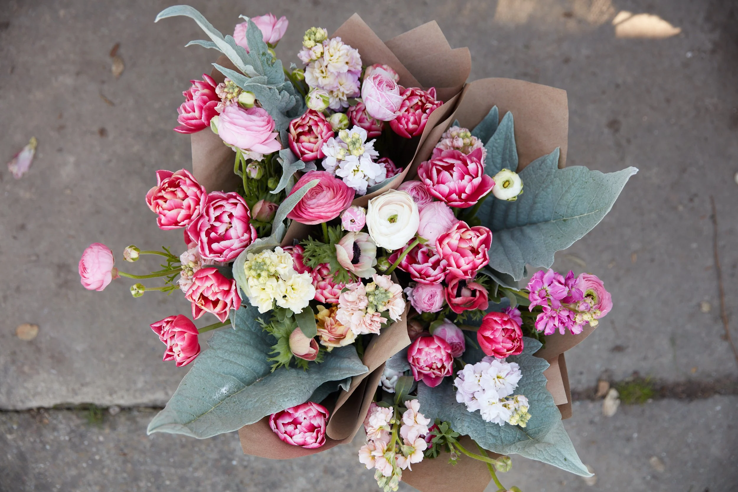 Online Shop — B-Side Farm