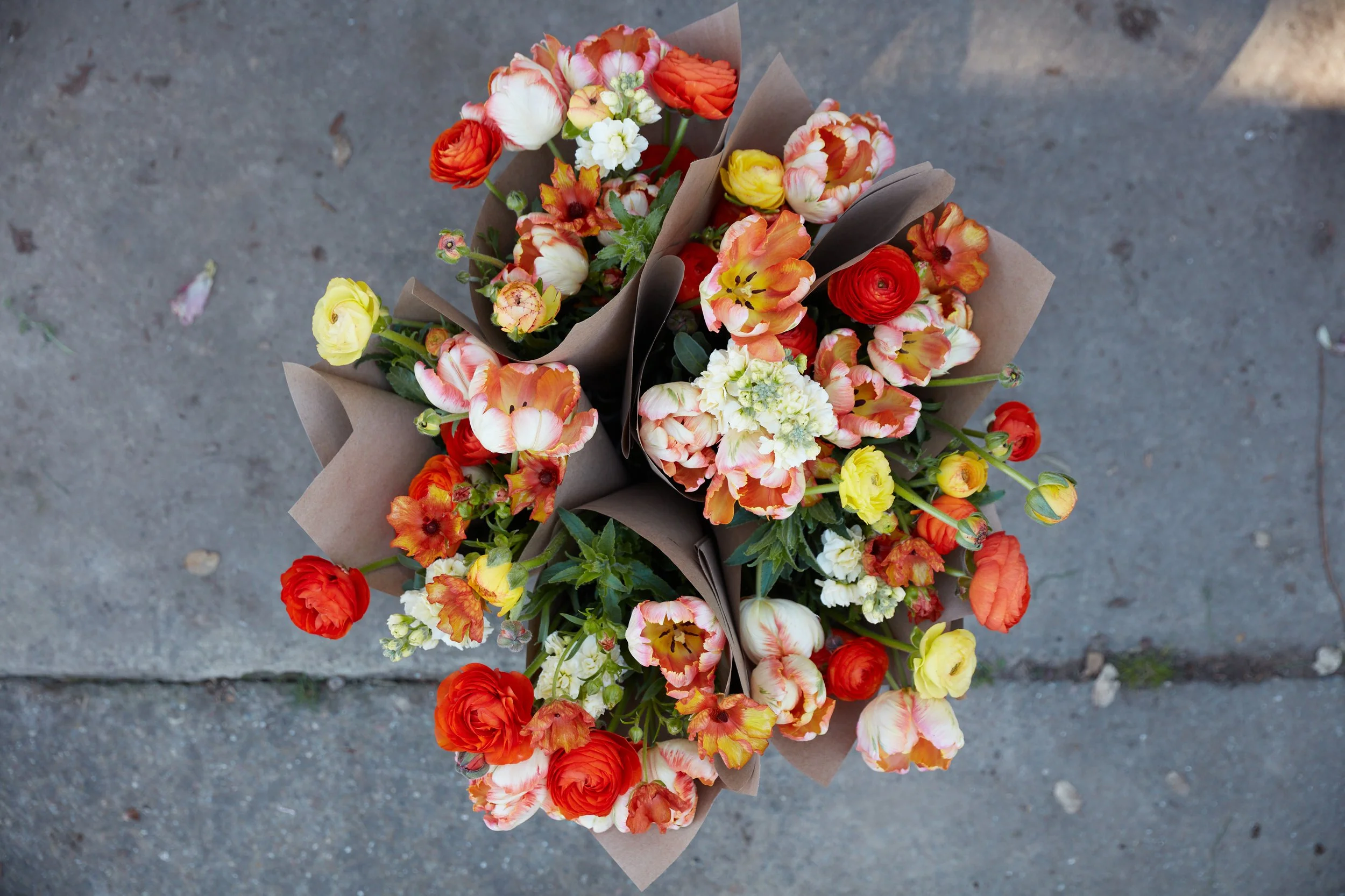 Online Shop — B-Side Farm