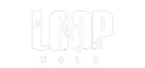 Ropes Course — LOOP NOLA