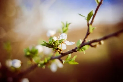Shen Health Acupuncture in Islamorada, Fl
