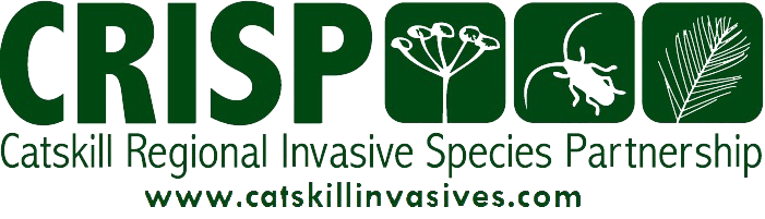 Catskill Regional Invasive Species Partnership — Catskill Center