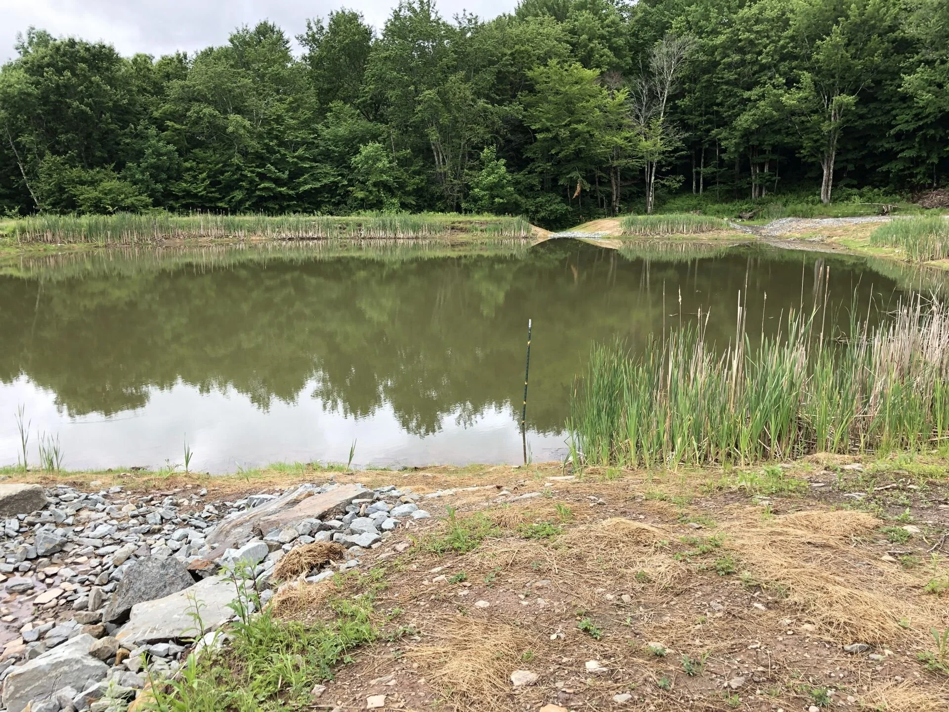 DEP REOPENS SHAVERTOWN HIKING TRAIL NEAR PEPACTON RESERVOIR — Catskill ...