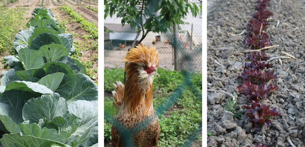 Northern Italy Farmhouse Veneto | Ca' de Memi — Holiday Farmhouse in ...