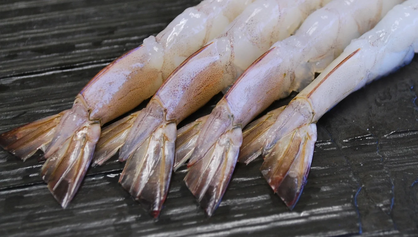 Nobashi Ebi - Black Tiger & Pacific White — DNI Group - Sashimi Grade ...