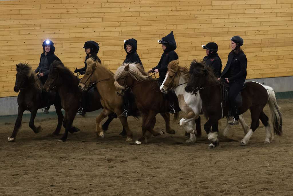 Eastern Regional Icelandic Horse Championships — Flugnir Icelandic ...